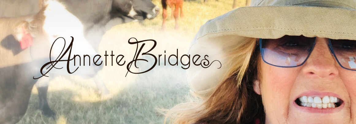 Home - Annette Bridges